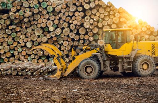 Sabah timber, its sustainable management practices, and its ...
